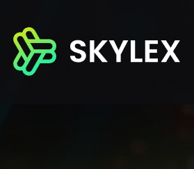 Инвестиционная компания Skylex Network (Скайлекс Нетворк) – отзывы ...